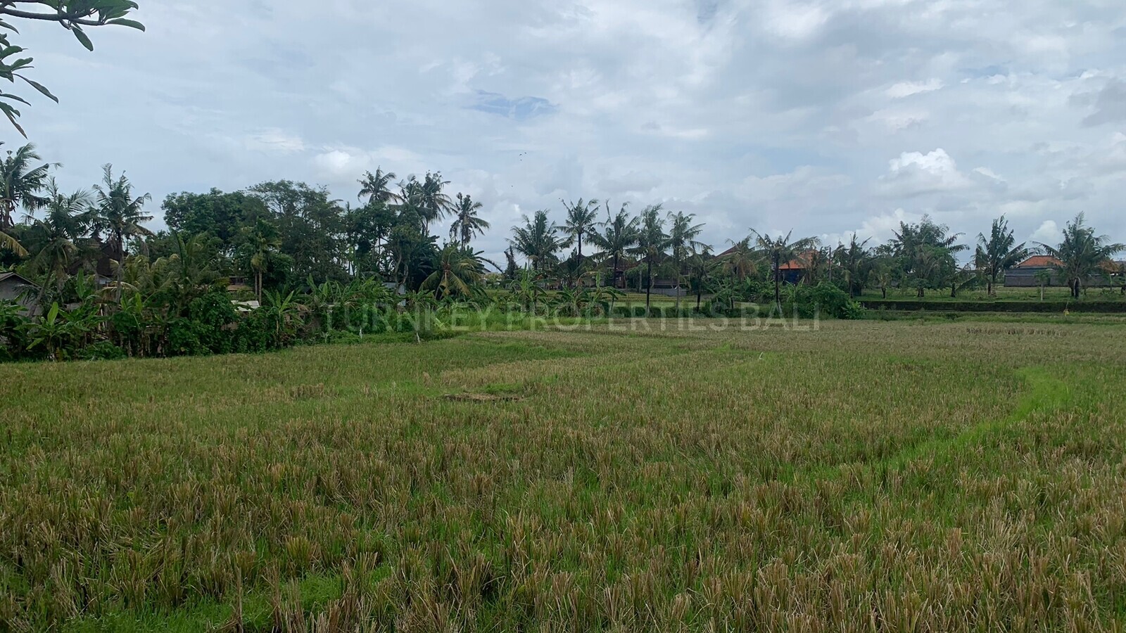 Amazing 24 Are Land in Strategic Area of Tumbak Bayuh For Sale id:54669 ...