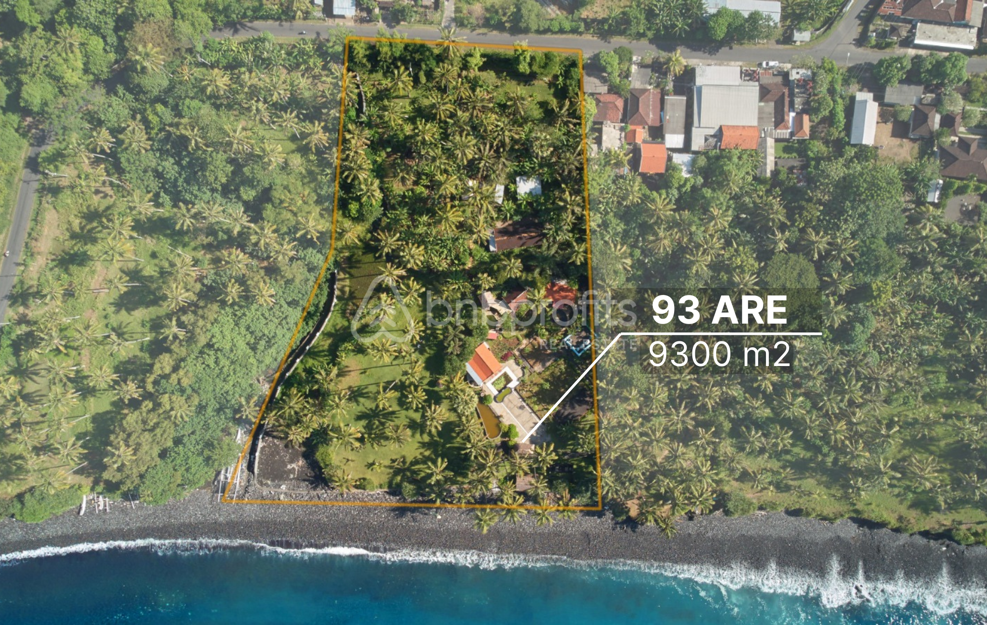 Seaside Paradise in East Bali: Prime Freehold Land with Bonus ...